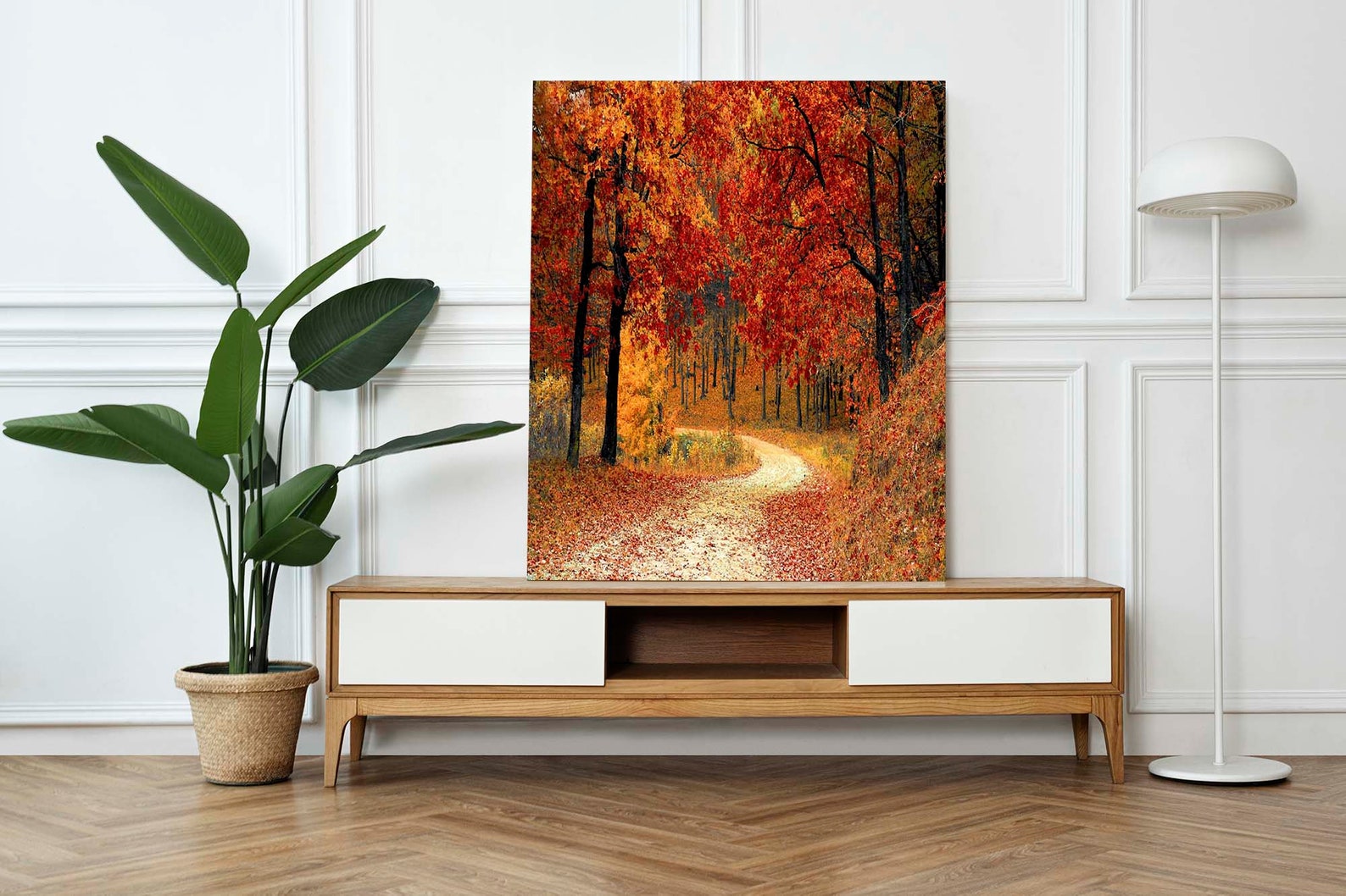 Beautiful Autumn Landscape Autumn Forest View Canvas Print Fall Scenery ...