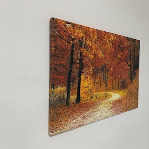 Beautiful Autumn Landscape Autumn Forest View Canvas Print Fall Scenery ...