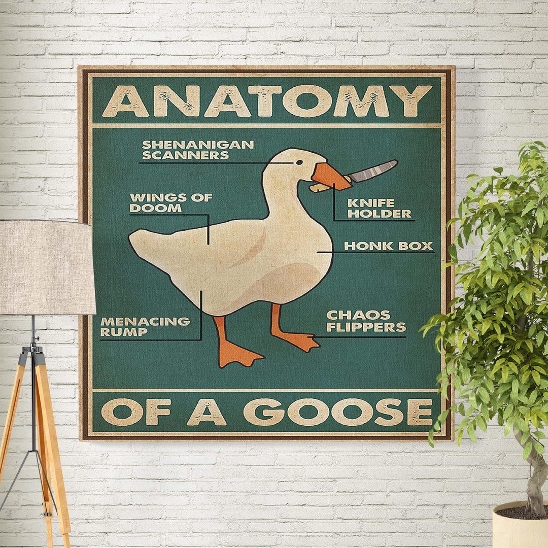 Anatomy of A Duck Retro Poster, Restaurant Cafe, Kitchen, Bathroom ...