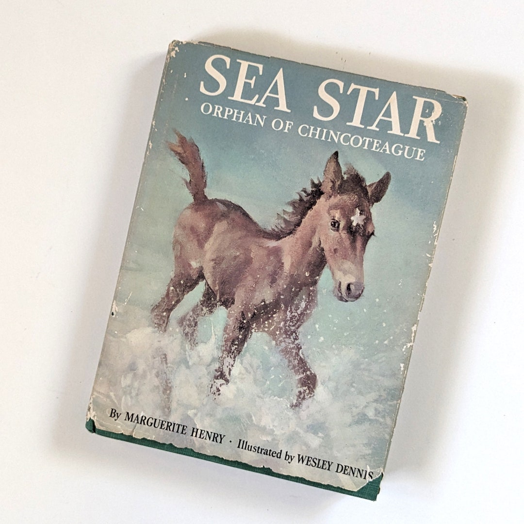 Sea Star, Orphan of Chincoteague. 1960s Children's Book by Marguerite ...