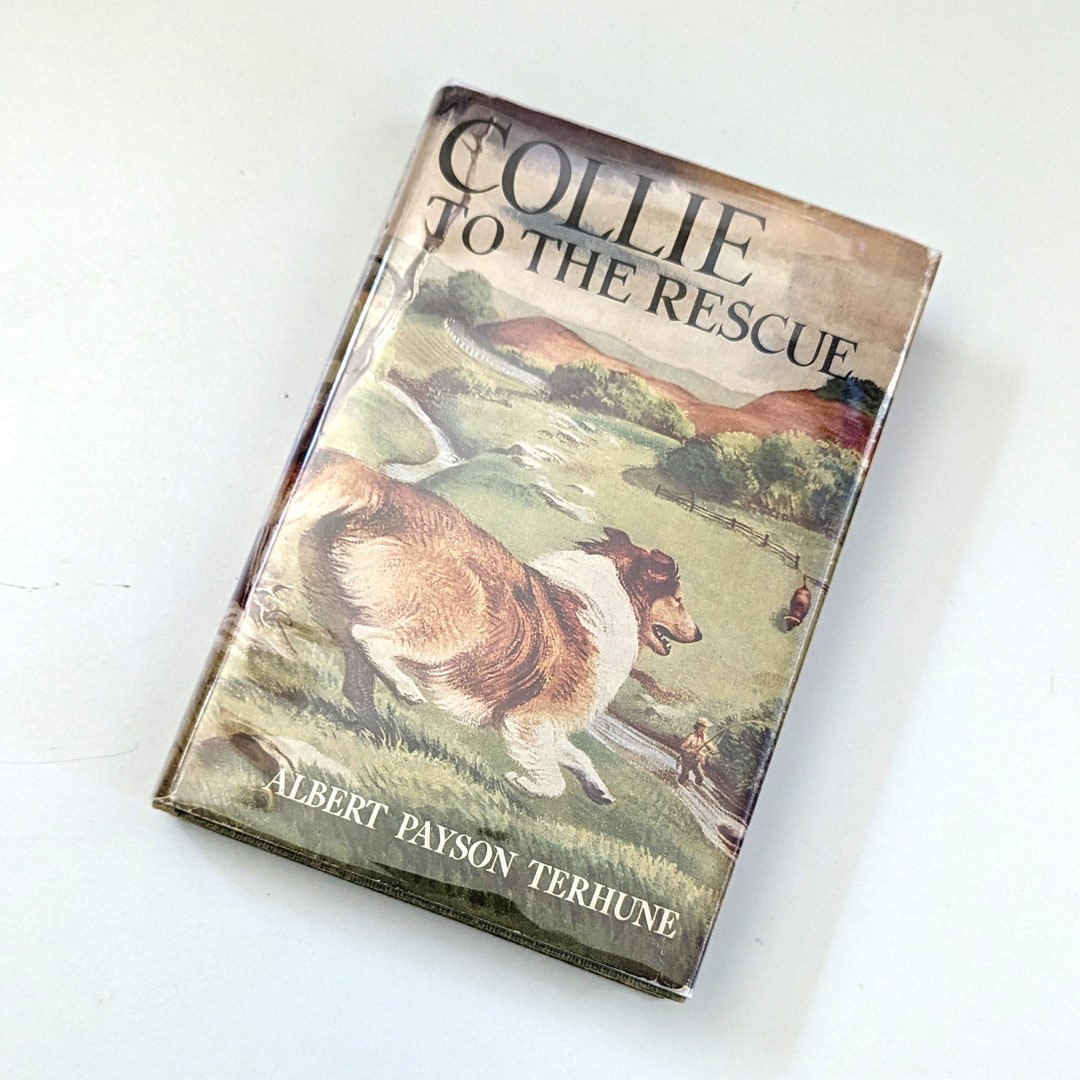 Collie to the Rescue by Albert Terhune. Vintage 1940s Book About a Very ...