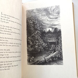 The Bat Poet by Randall Jarrell. Vintage 1960s Book Illustrated by ...