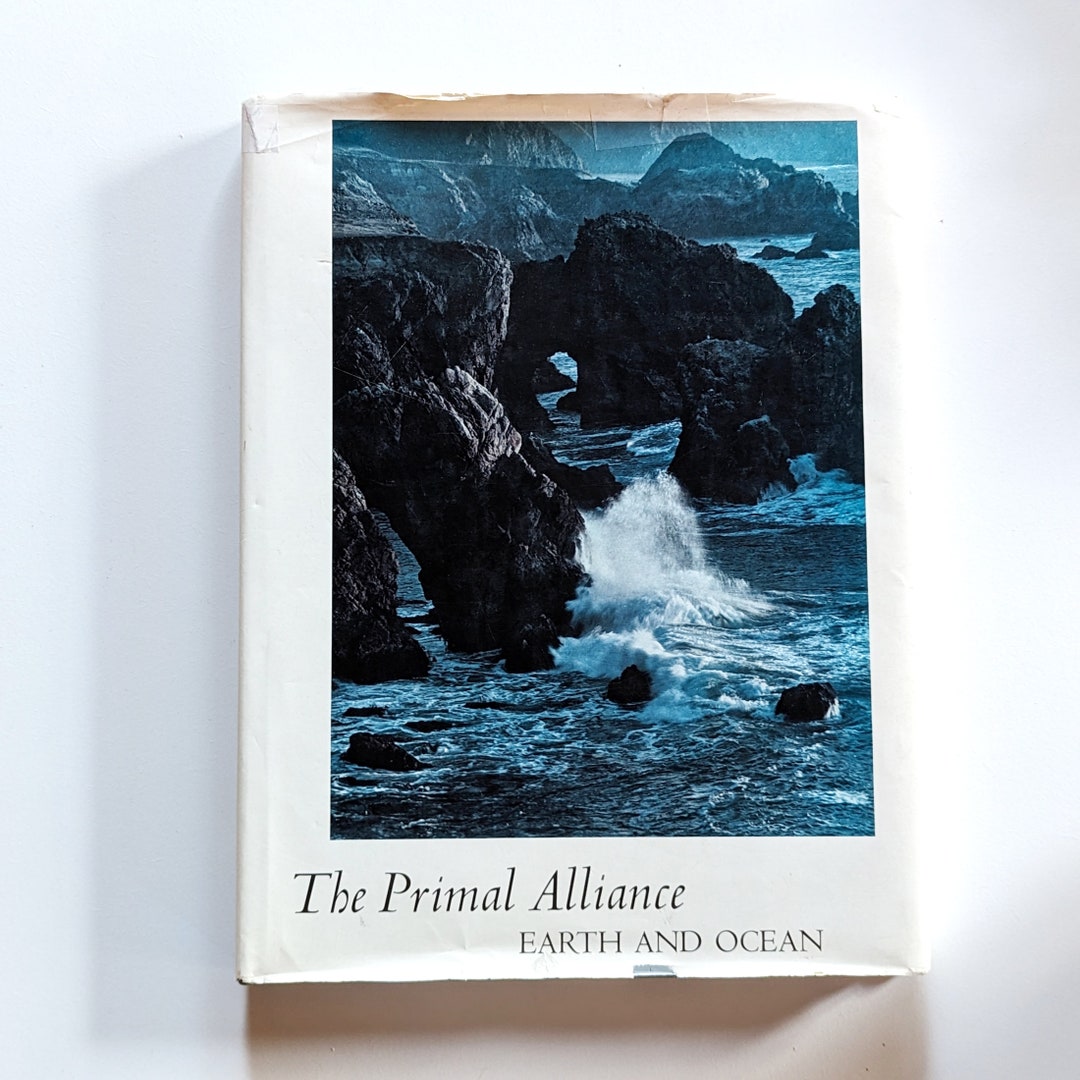 Vintage 1970s Earth & Ocean Photography Book: Friends of the Earth ...