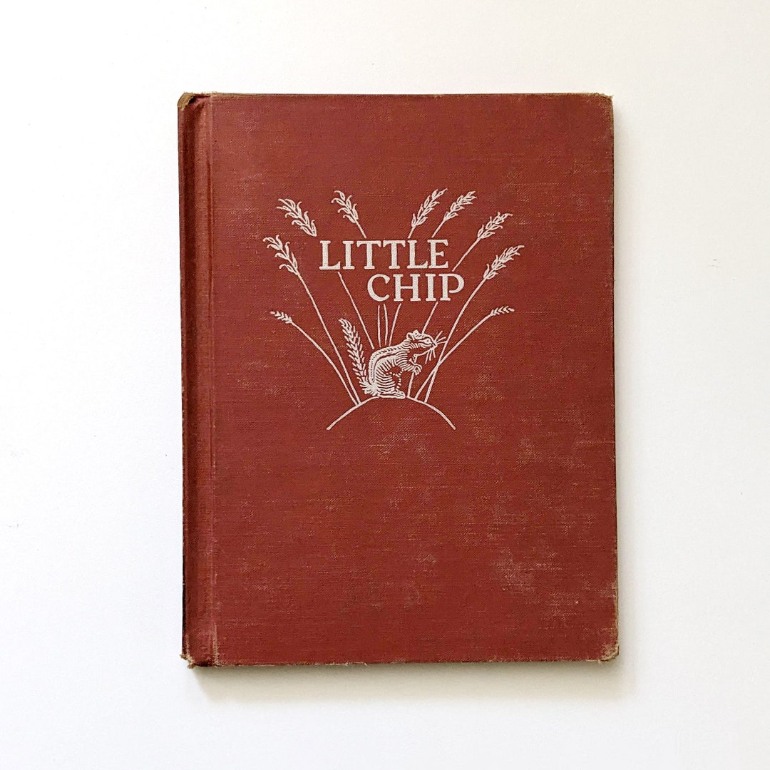 Little Chip. 1950s Children's Book About a Chipmunk. American Wildlife ...