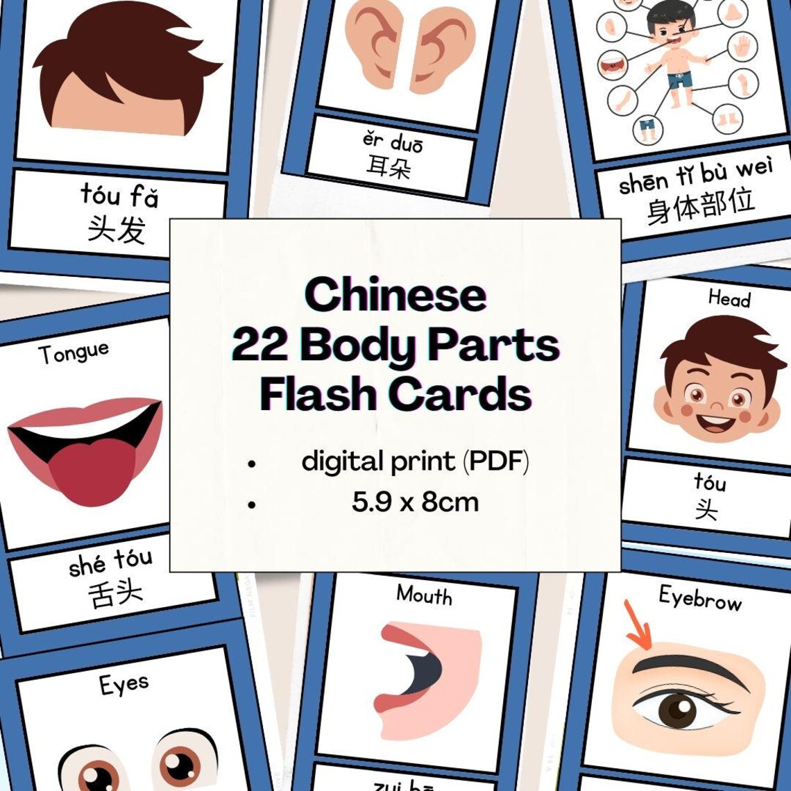 Bilingual Chinese Body Parts Flash Cards - 22 Body Parts | Flash Cards ...
