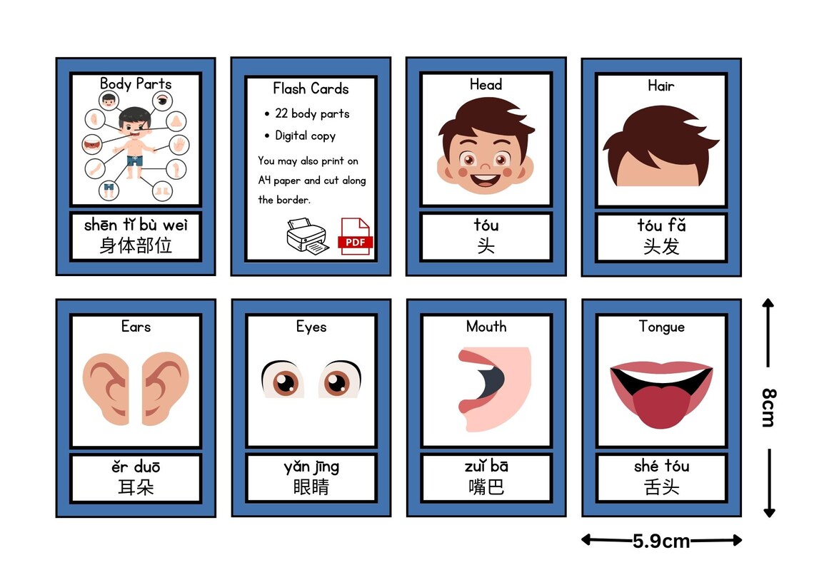 Bilingual Chinese Body Parts Flash Cards - 22 Body Parts | Flash Cards ...