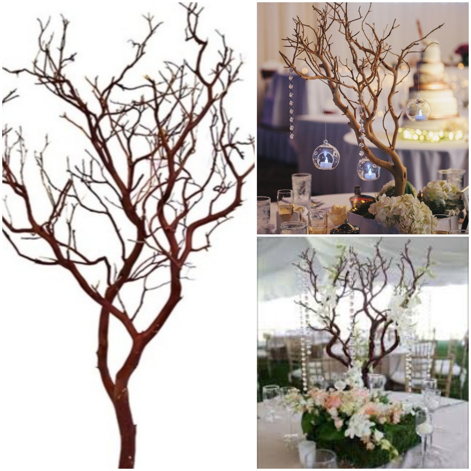 20in Manzanita Centerpieces With Sturdy Wood Slice Bases Wedding ...