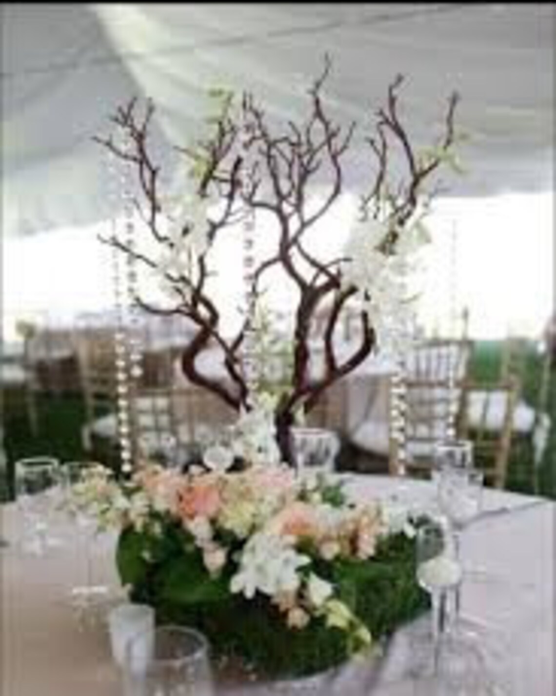 20in Manzanita Centerpieces With Sturdy Wood Slice Bases Wedding ...
