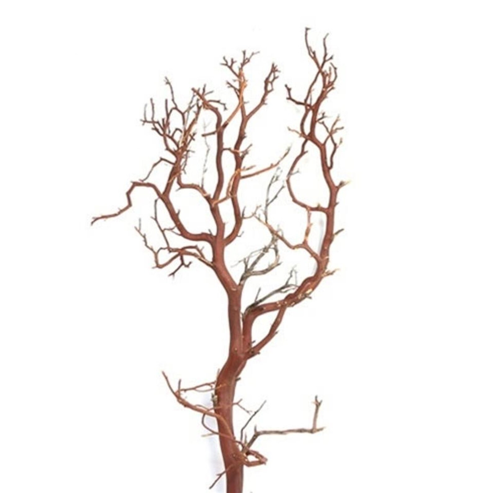 20in Manzanita Centerpieces With Sturdy Wood Slice Bases Wedding ...