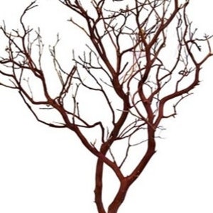 20in Manzanita Centerpieces With Sturdy Wood Slice Bases Wedding ...