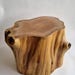 Tree Stump Plant Stand or Stool Handcrafted Natural - Etsy