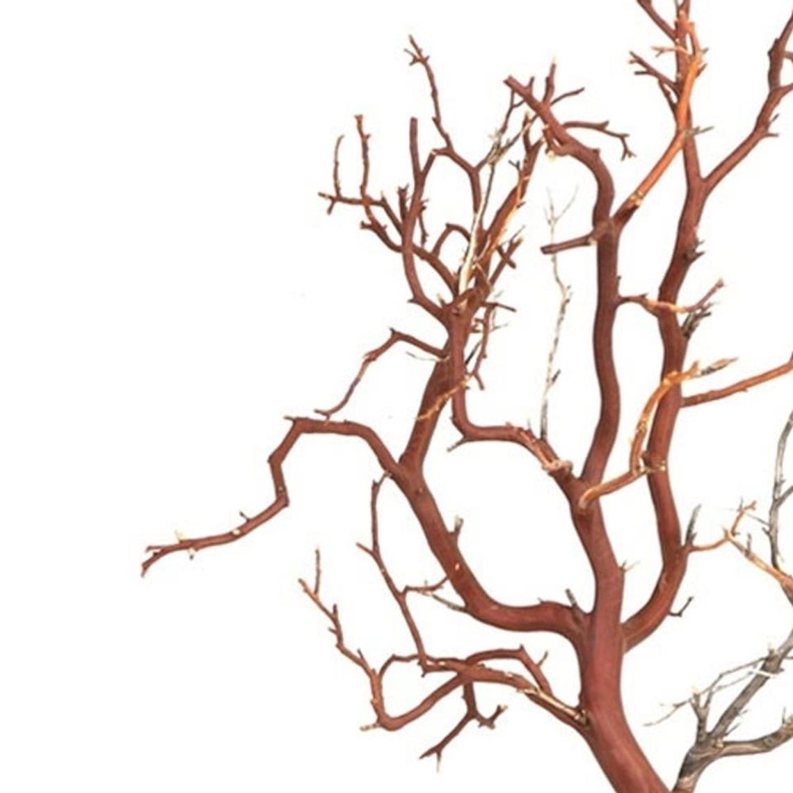 20in Manzanita Centerpieces With Sturdy Wood Slice Bases Wedding ...