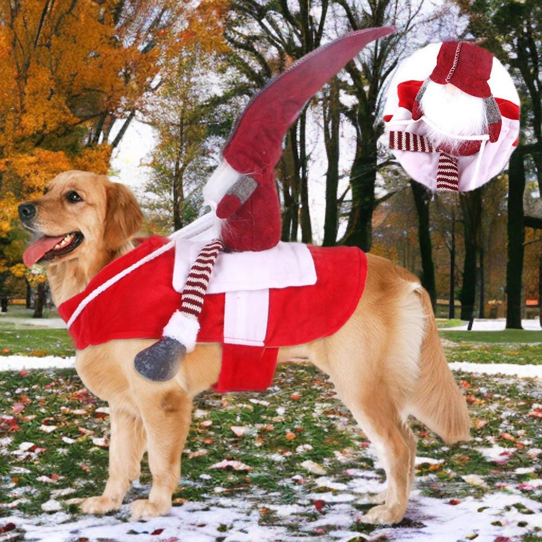 Pet Christmas Riding Costume – Festive Cosplay Outfit for Dogs, Holiday ...