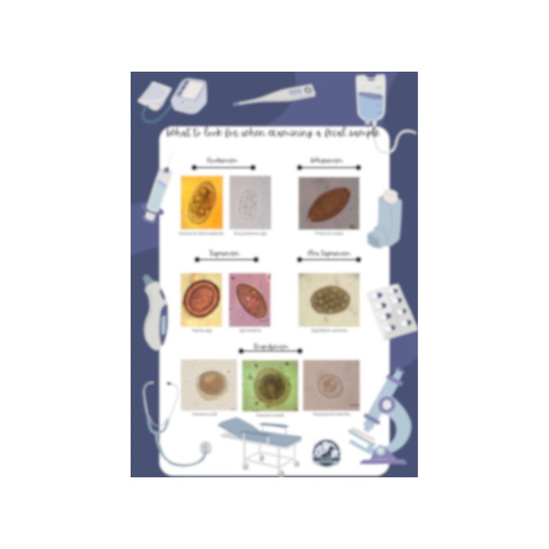 Veterinary Fecal Parasites Poster, Vet Nurse, Vet Tech - Etsy