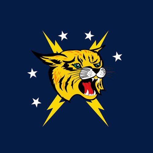 KittenSwagShop - Etsy