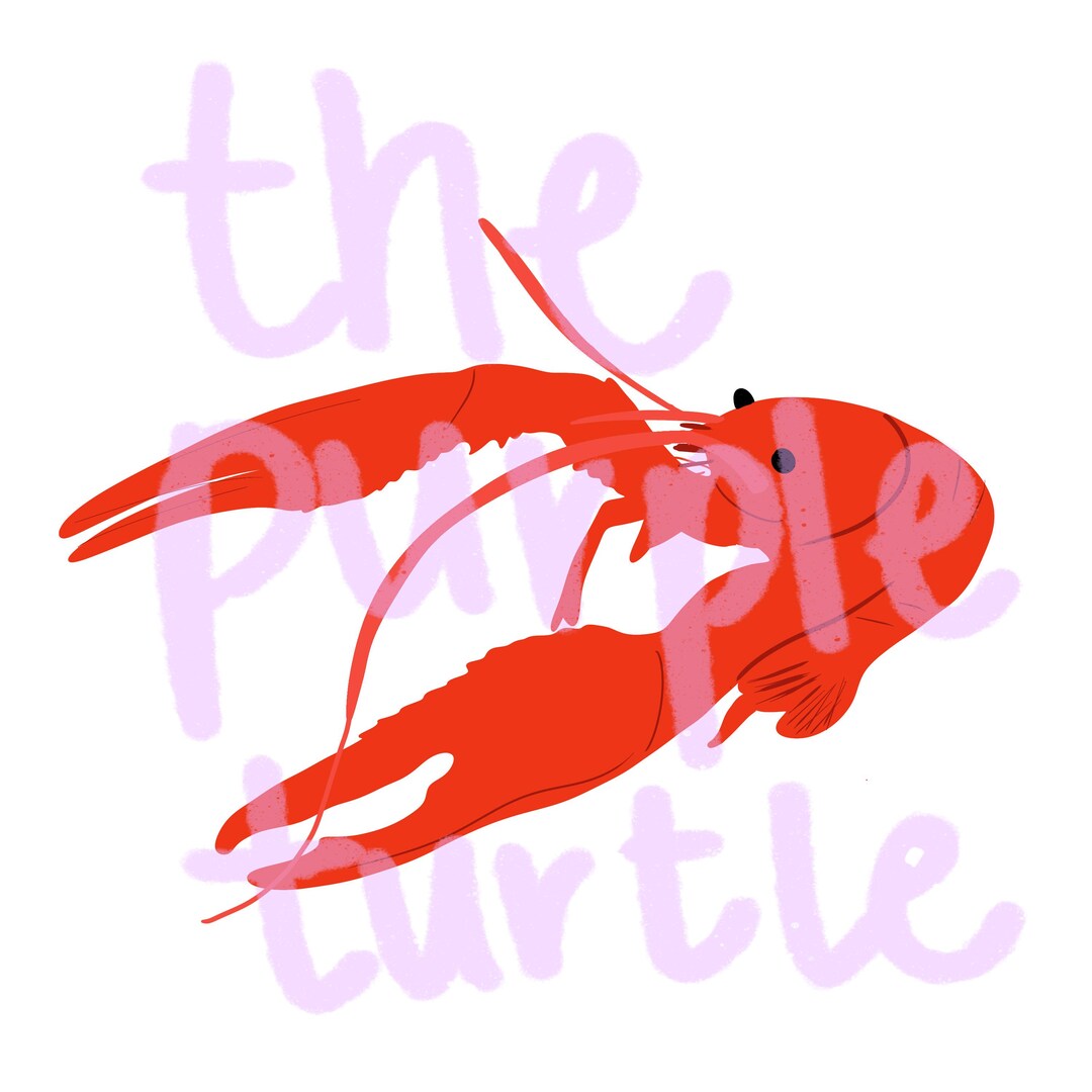 Crawfish Hand-drawn PNG Graphic, Southern Seafood Clipart - Etsy