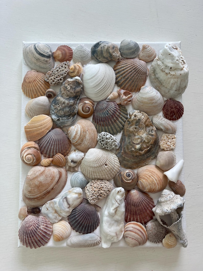 Handmade Seashell Canvas Art - Etsy