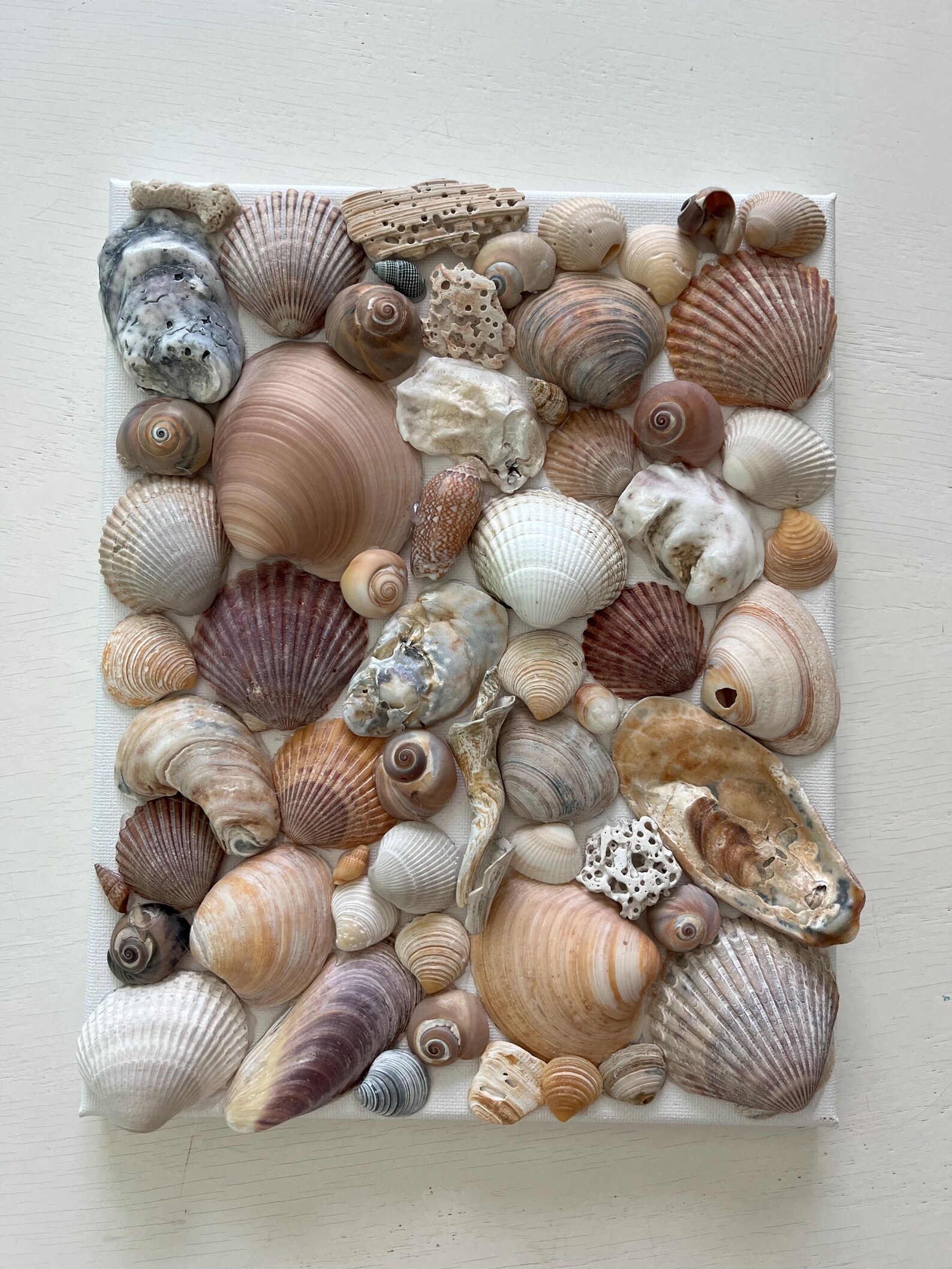 Handmade Seashell Canvas Art - Etsy