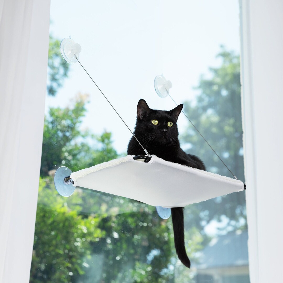 Cat Bed Cat Window Hammock Cat Shelf Strong Foldable Widow Shelf for ...