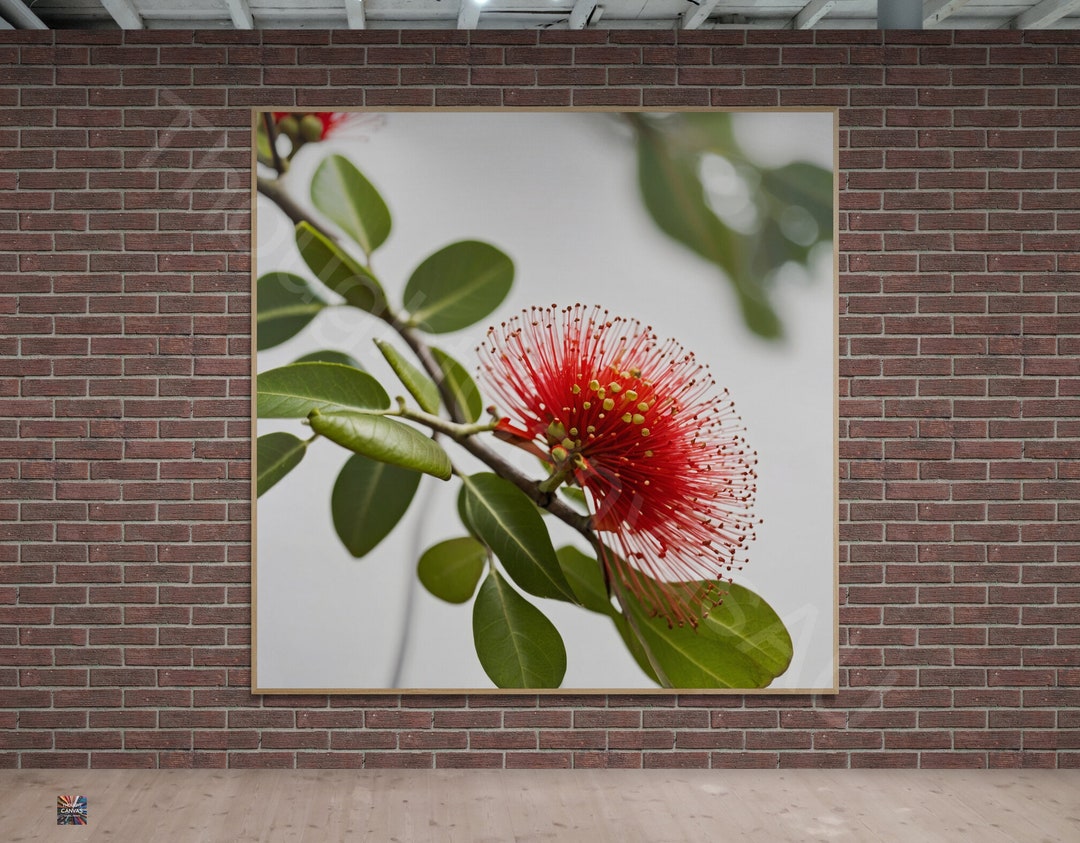 Vibrant Pohutukawa Flower Art: NZ Native Floral Painting (digital ...