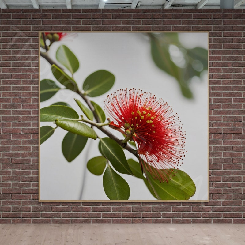 Pohutukawa - Etsy