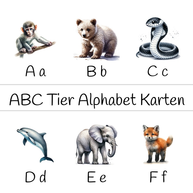 ABC Animal Alphabet Cards - Printable | Flashcards for Preschoolers and ...