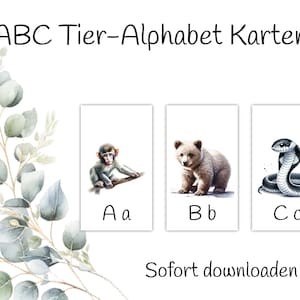 ABC Animal Alphabet Cards - Printable | Flashcards for Preschoolers and ...
