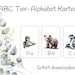 ABC Animal Alphabet Cards - Printable | Flashcards for Preschoolers and ...