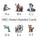English ABC Animal Alphabet Cards - Printable | Flashcards for ...