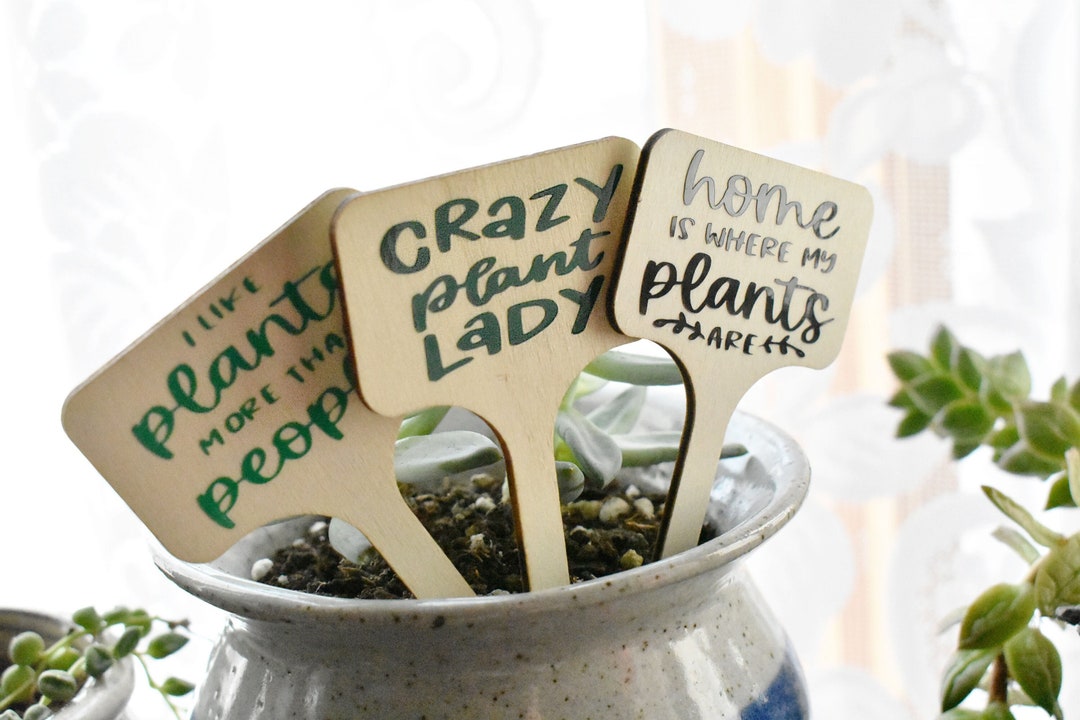 Choose Your Funny Plant Marker- Crazy Plant Lady Vinyl Wood Plant Stick ...