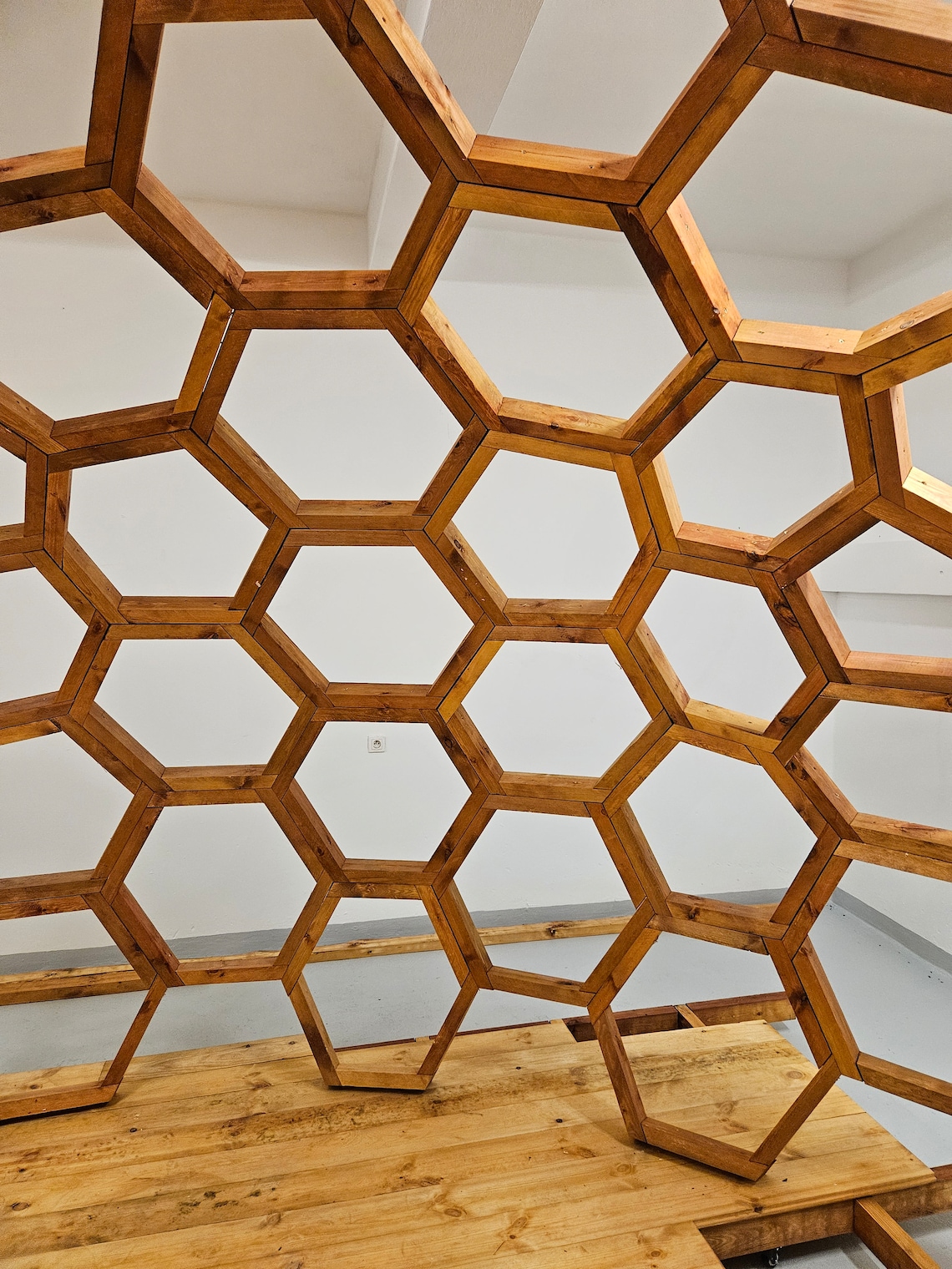 Dome Frame - Etsy