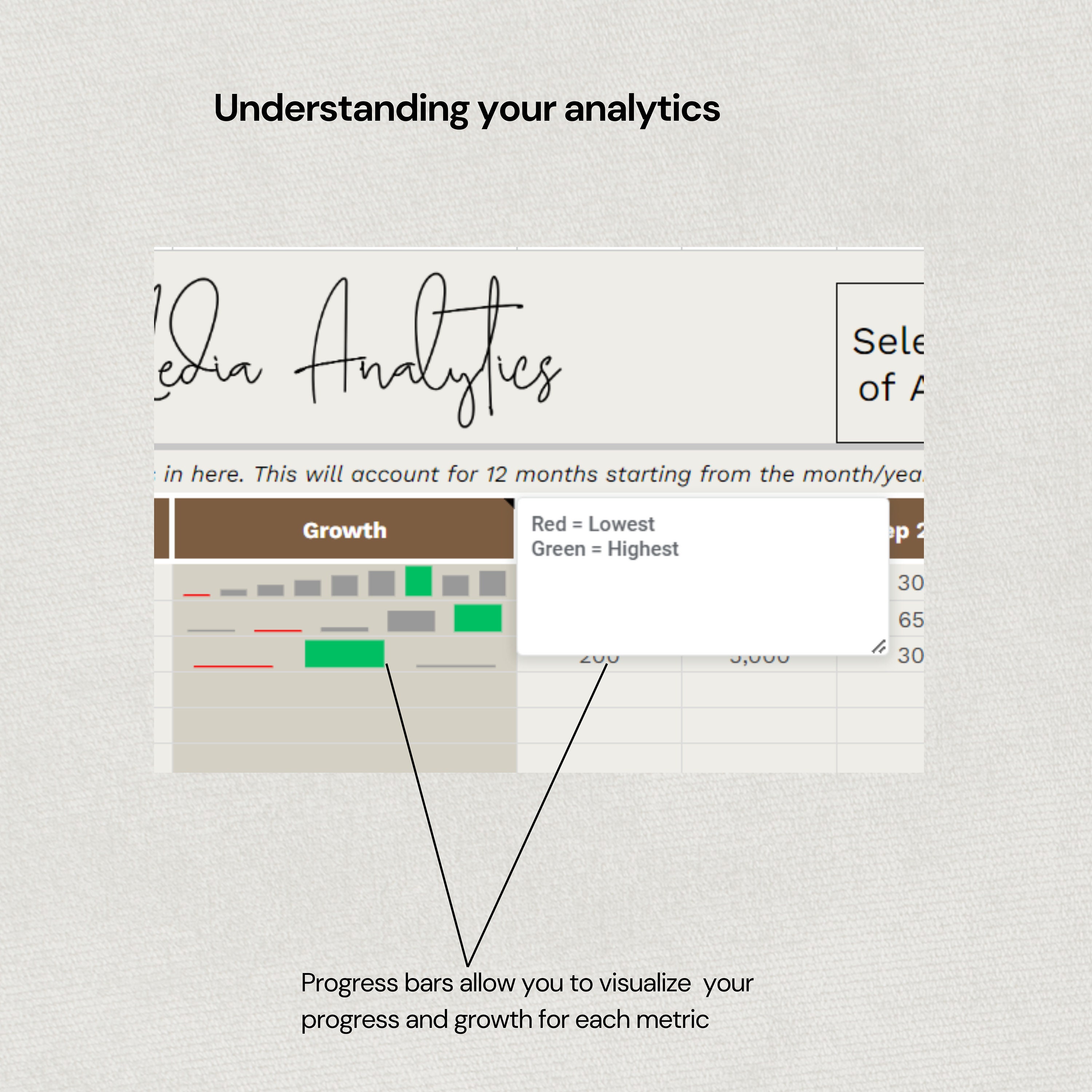 Social Media Analytics Tracker | 12 Month Post Performance Tracker ...
