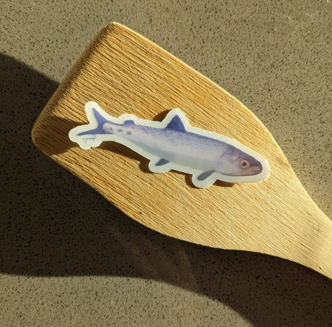 Juvenile Chinook Salmon Sticker | Fish Sticker | Journaling | Water ...