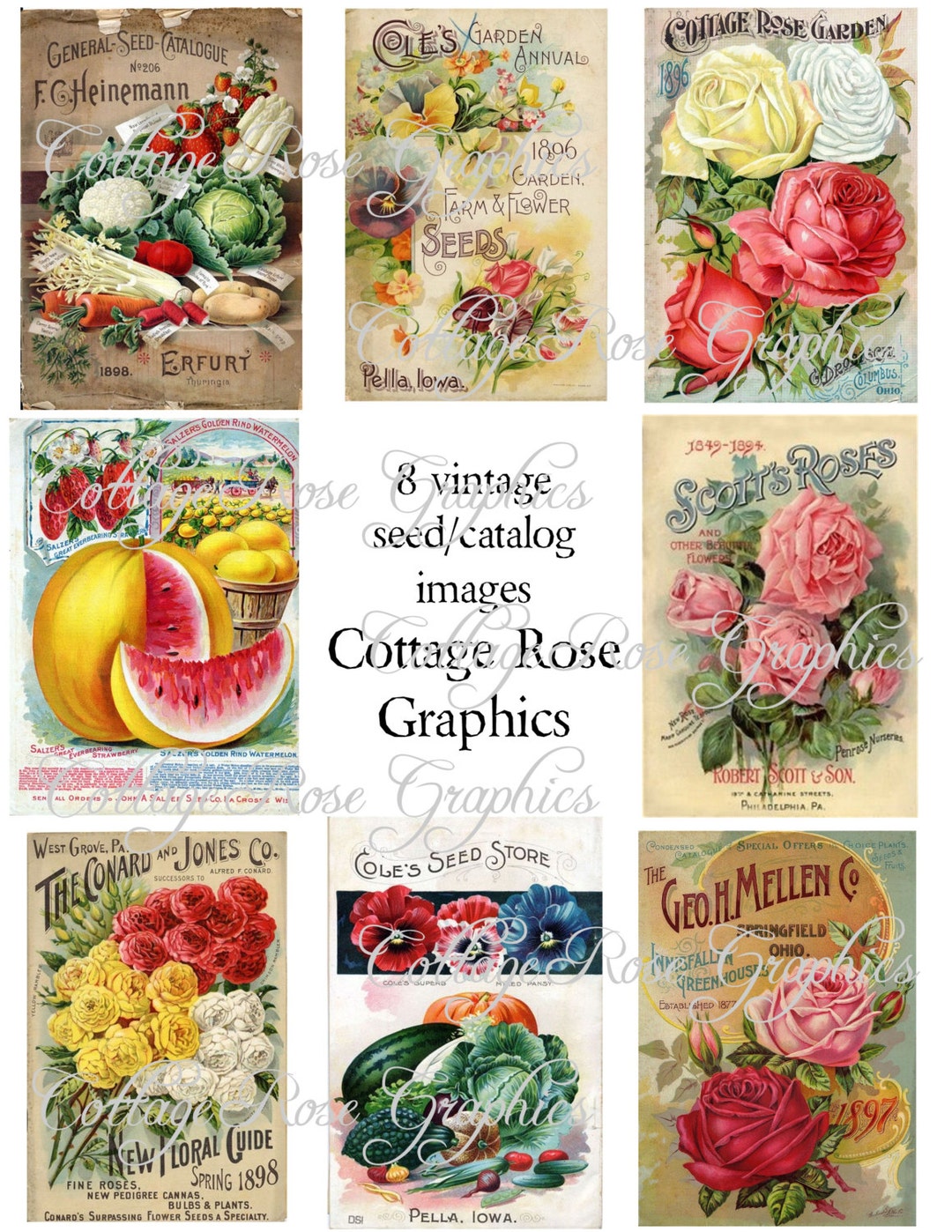 Vintage Seed Catalog Art: Collage Sheet (digital Download) - Etsy