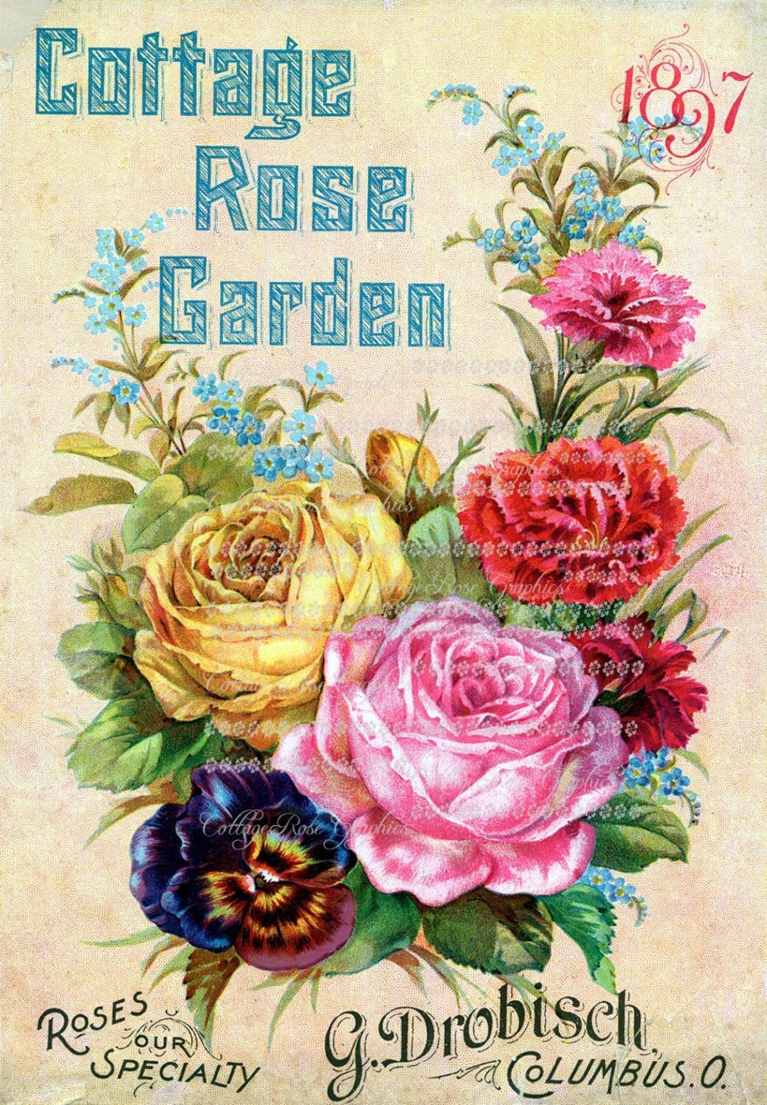 Vintage Advertising Cottage Garden Roses Large Digital Download Collage ...
