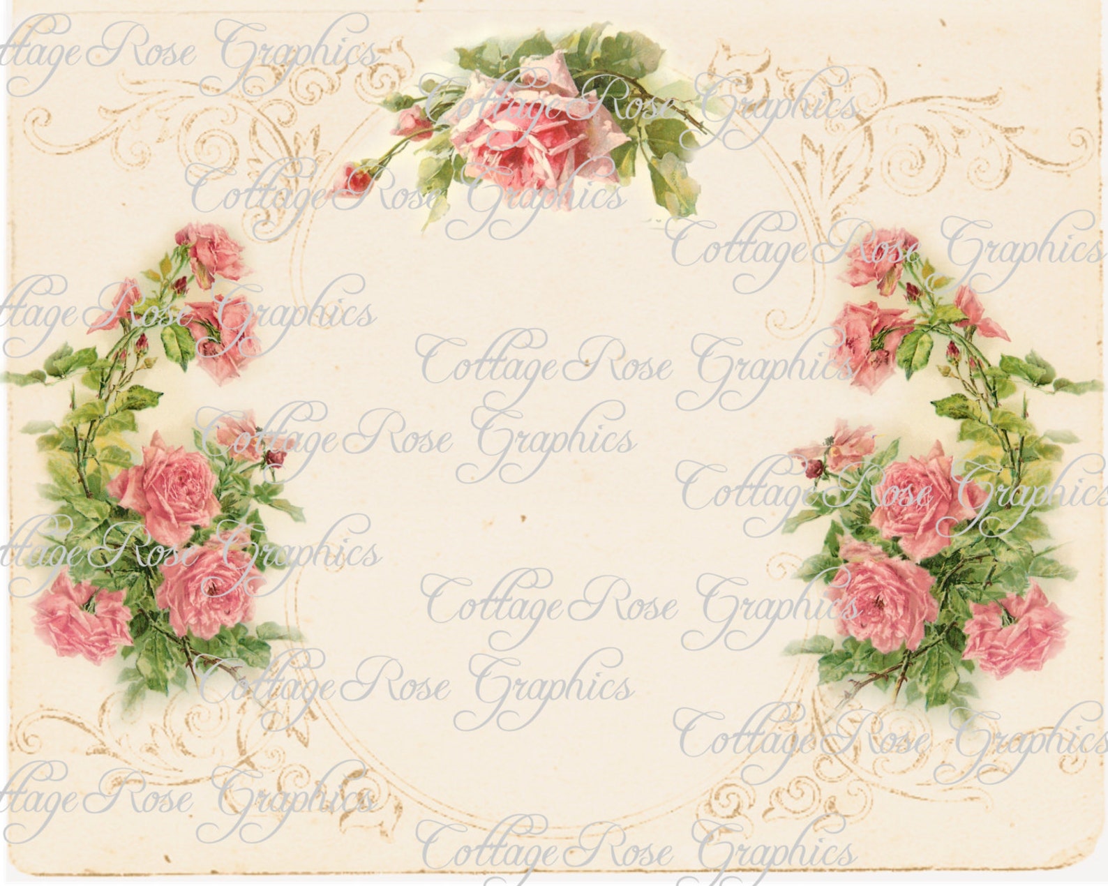 Vintage Paris French Pink Roses Image Large Digital Download - Etsy
