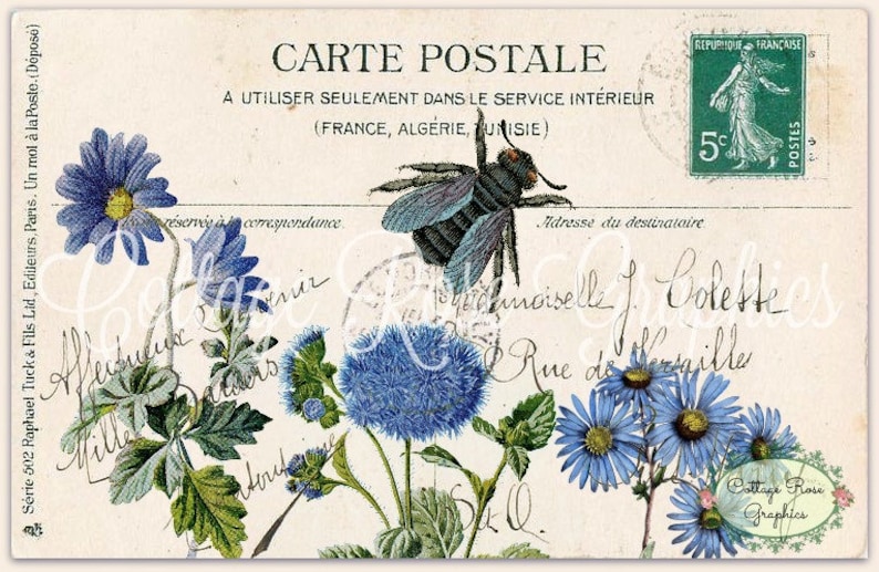 Vintage Bee Postcard Digital Download Blue Floral Carte - Etsy