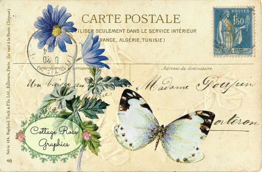 Vintage French Postcard Digital Download Blue Daisy Carte Postale ...