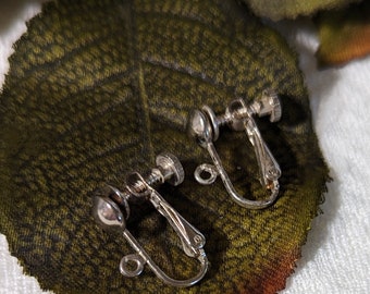 Screw Back Earrings - Etsy