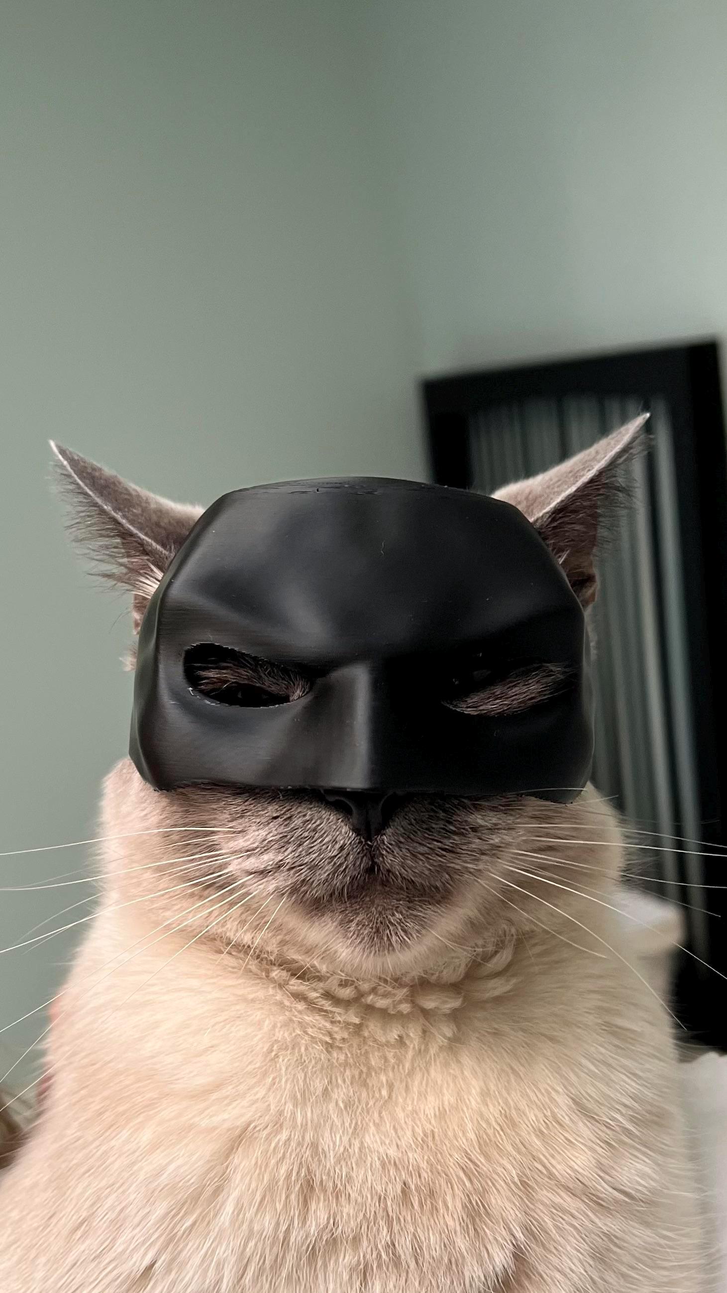 Purrfectly Batty: Cat Bat Cosplay Hat medium for Feline Superheroes - Etsy