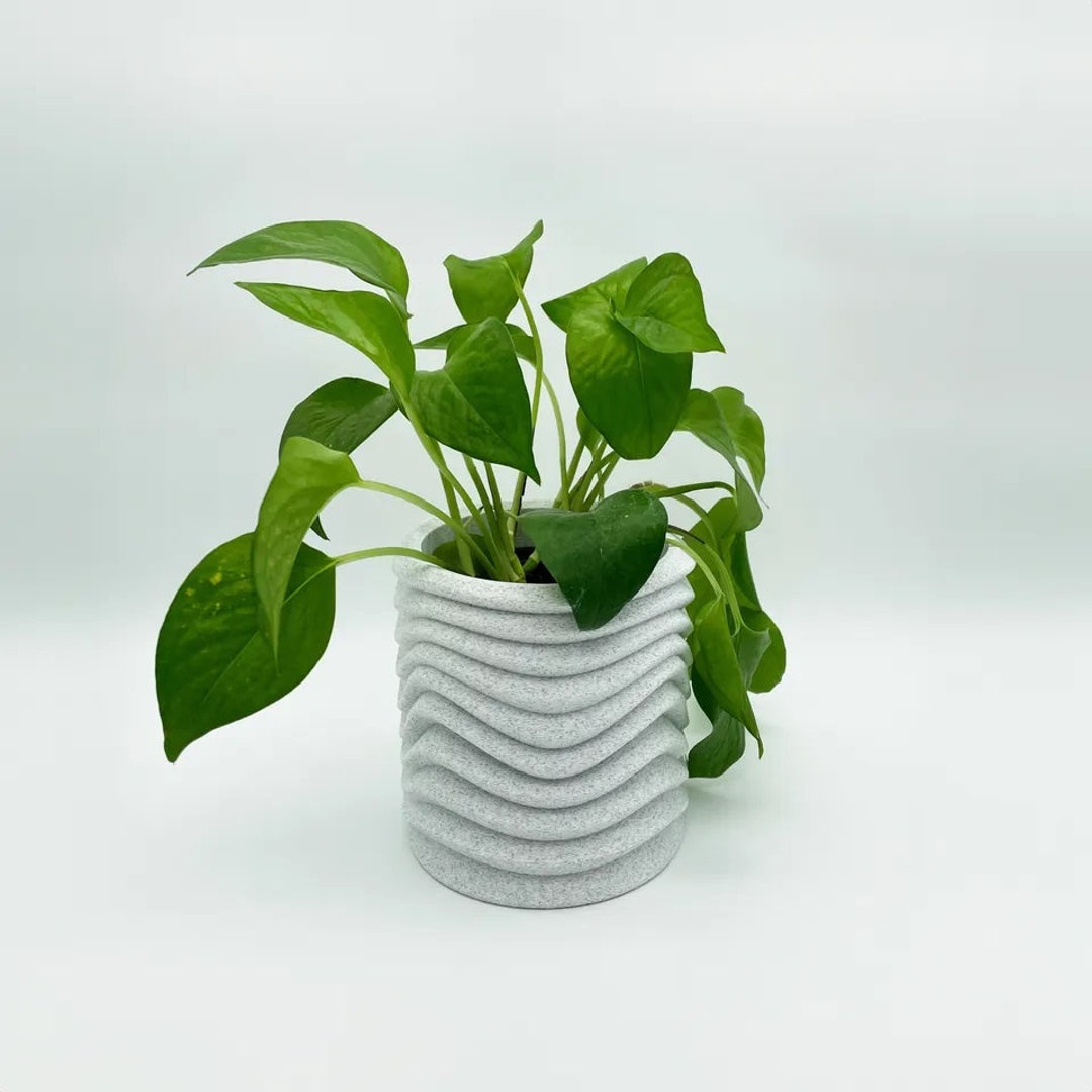 Wavy Wonder Plant Pot - Etsy