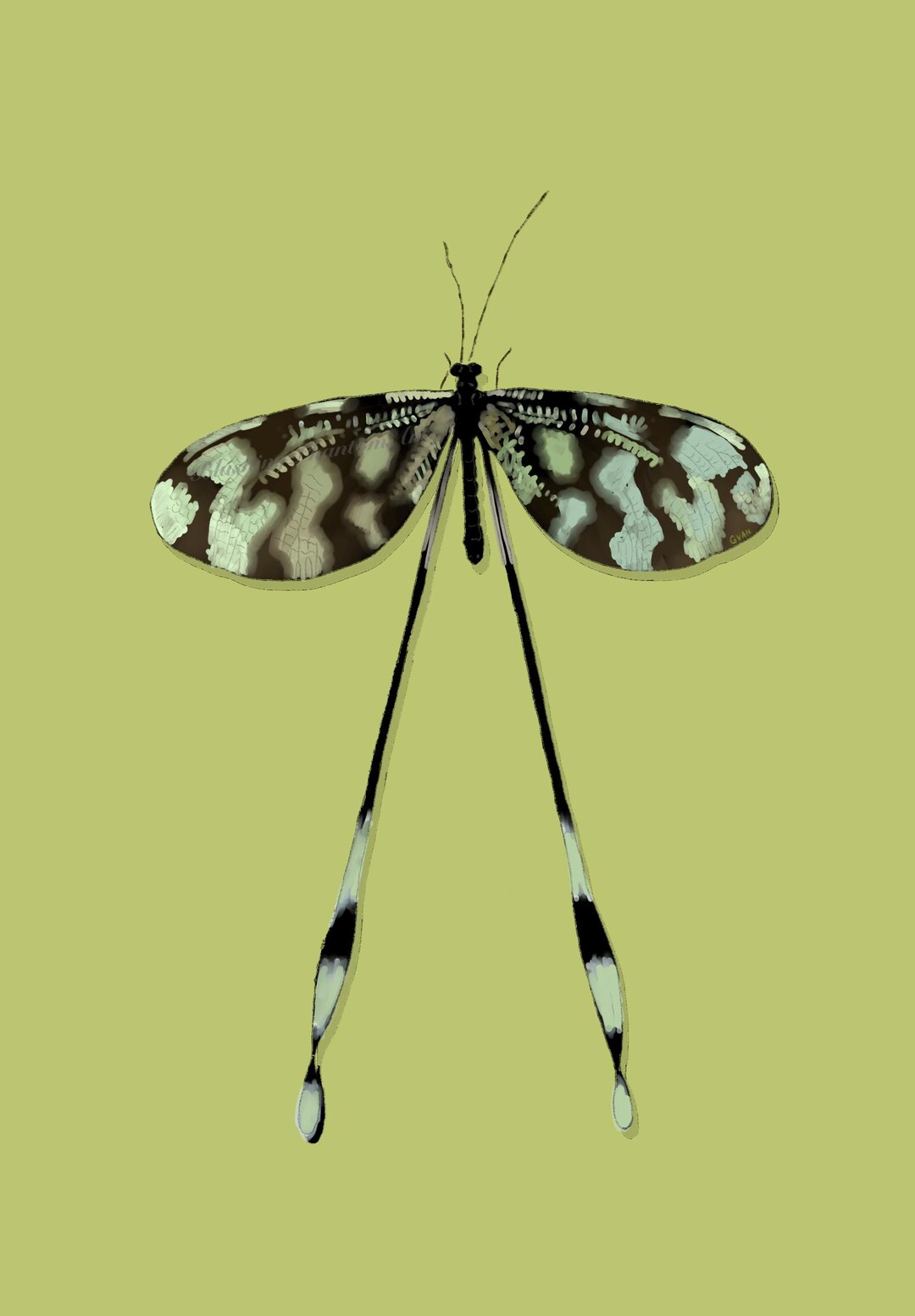 Lacewing Dragonfly, Art Print - Etsy