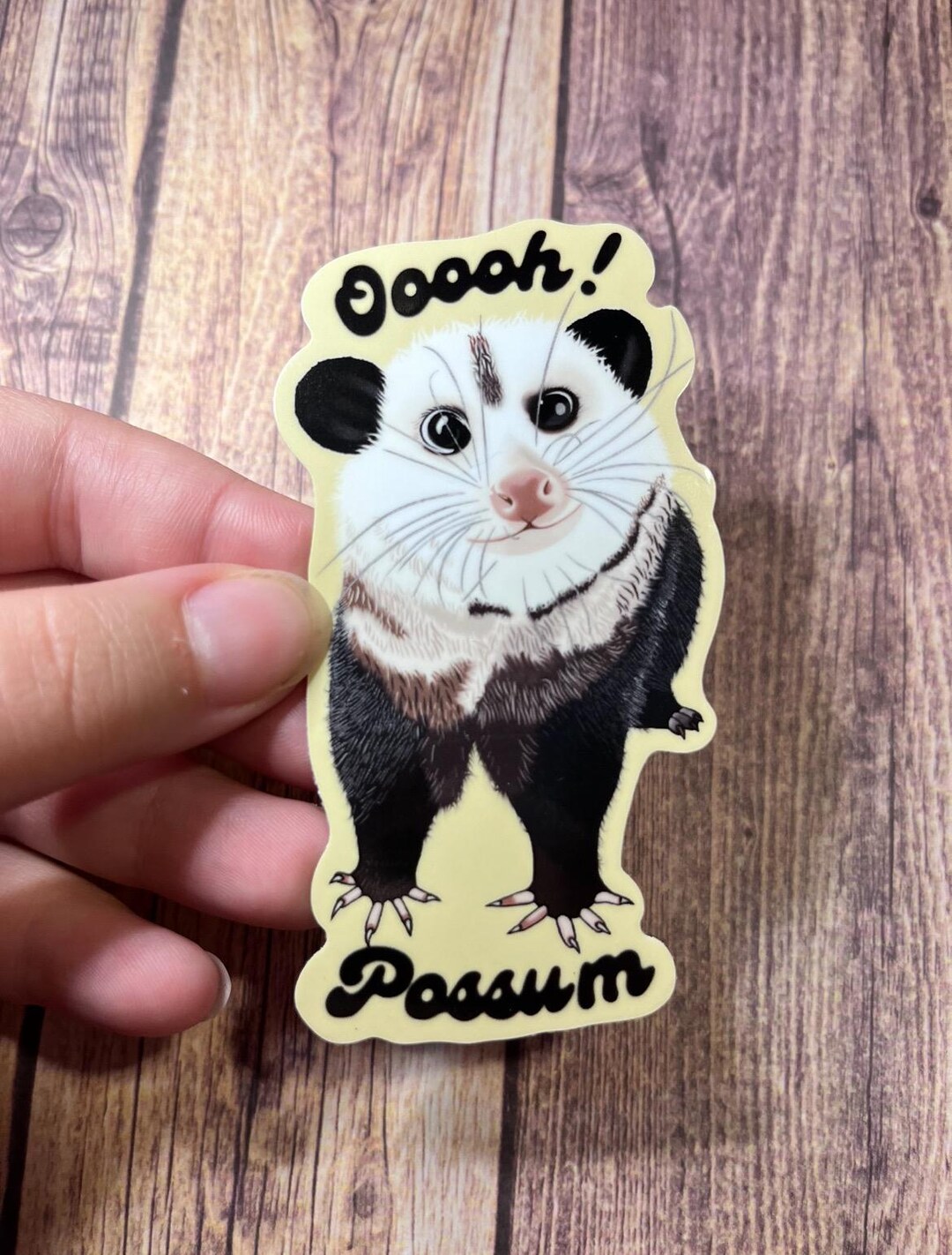 Possum Sticker, Oooooh Possum Bumper Sticker, Cute Animal Sticker ...