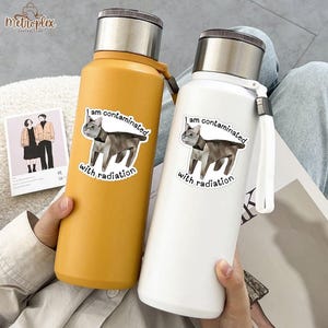 I Am Contaminated Funny Cat Meme Sticker, Ironic Low Poly Feline ...