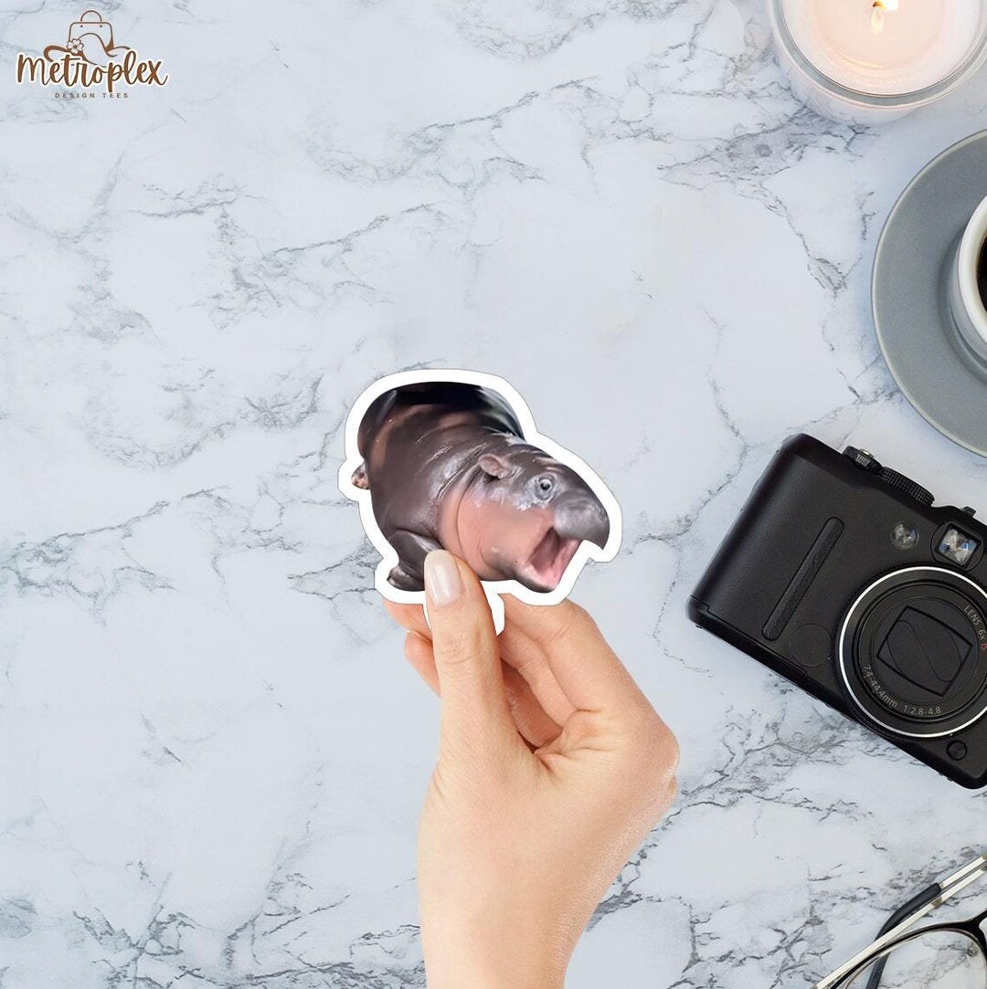 Moo Deng Meme Sticker: Baby Pygmy Hippopotamus Laminated Vinyl Sticker ...