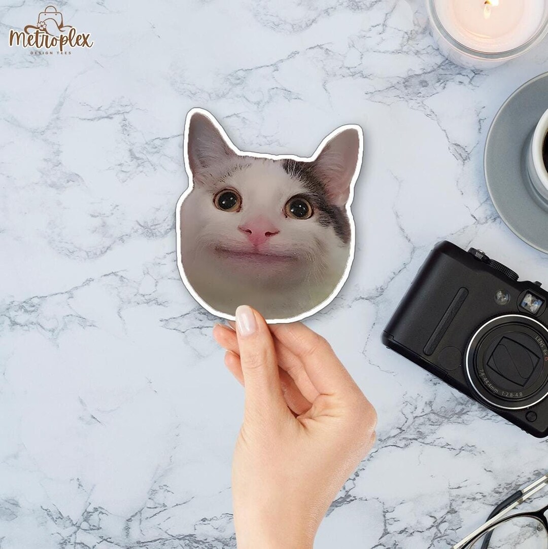 Cat Meme Stickers, Cute Funny Cat Stickers for Laptop, Crying Cat Meme ...