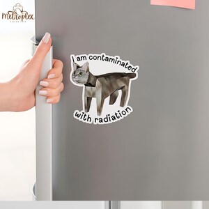 I Am Contaminated Funny Cat Meme Sticker, Ironic Low Poly Feline ...