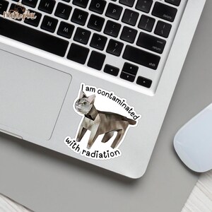 I Am Contaminated Funny Cat Meme Sticker, Ironic Low Poly Feline Sticker for Water Bottle, Oddly ...