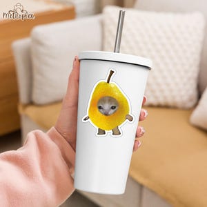 Fruit Cat Meme Sticker for Water Bottle, Crying Banana Cat Meme Sticker ...