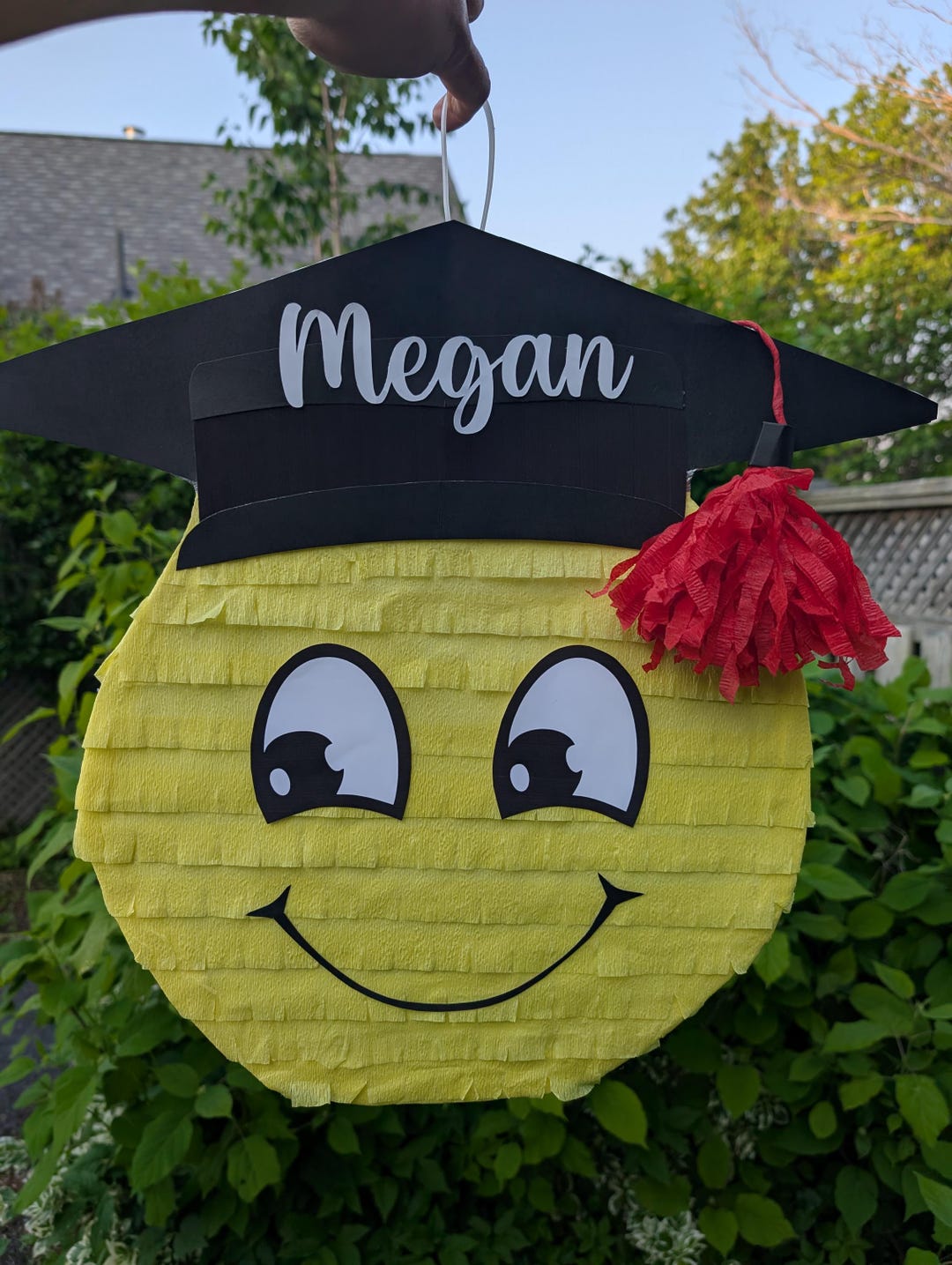 Graduation Piñata Cute Piñata for Kids Party. Bachelor. Pinata Game - Etsy